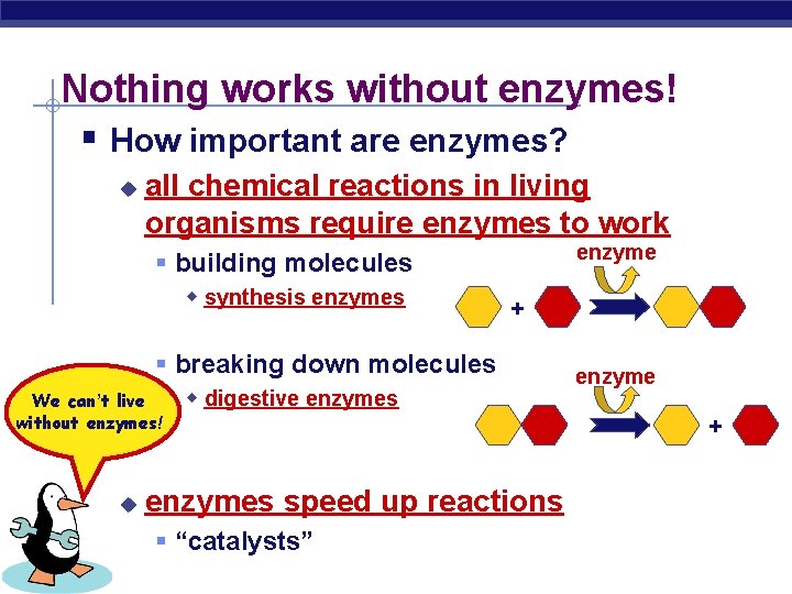 Enzymes Helper Protein molecules Biology I Flow of