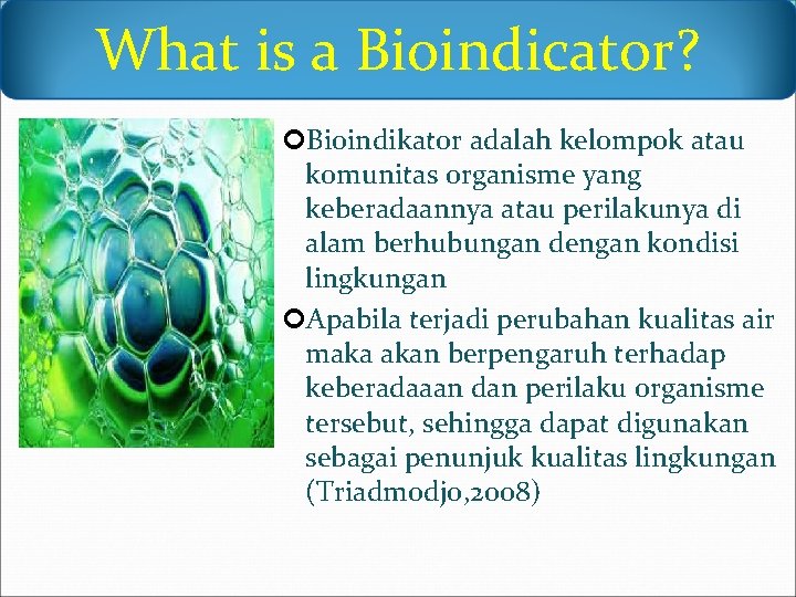 KUALITAS BIOLOGI PERAIRAN SUNGAI SENAPELAN SAGO DAN SAIL