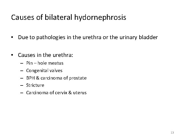 Urology 4 Hydronephrosis Contents Definition Etiology Pathology Clinical