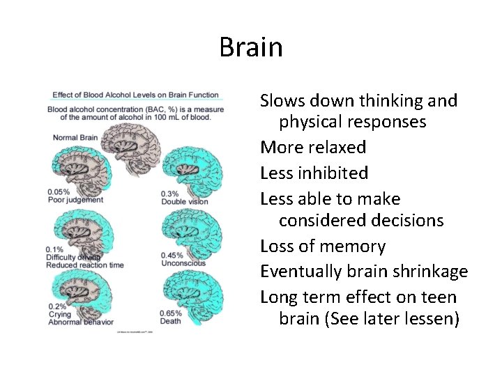 Effects of Alcohol on the Body With a