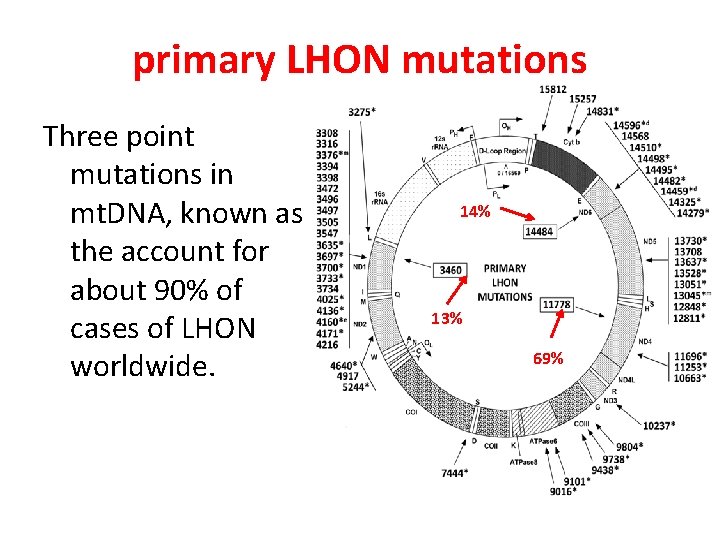 Leber hereditary optic neuropathy LHON By Dr Bita