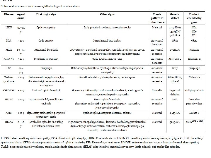 Leber hereditary optic neuropathy LHON By Dr Bita