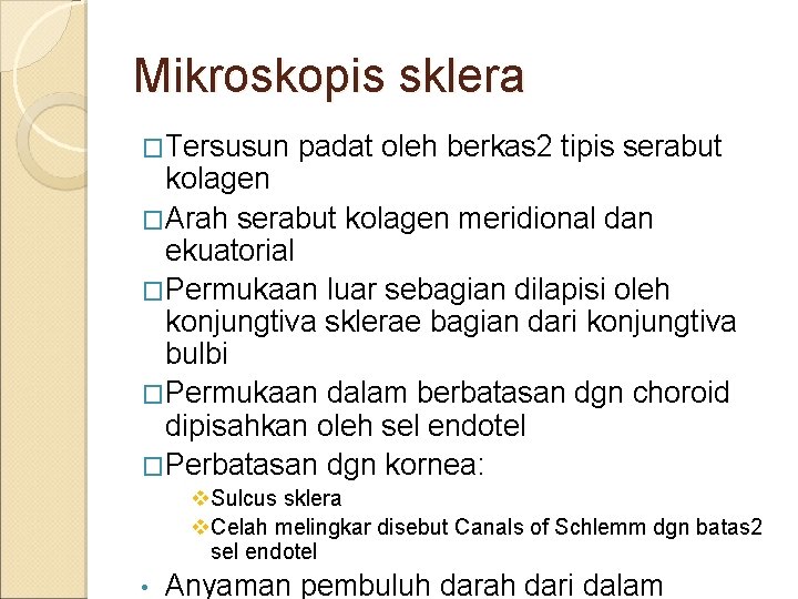 MATA Dr Ifdelia Surjadi Bagian Histologi Fakultas Kedokteran