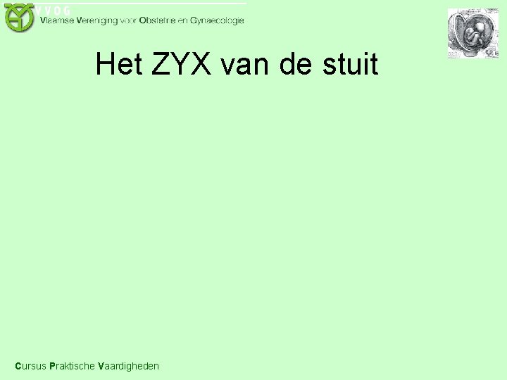 De Vaginale Stuitbevalling Cursus Praktische Vaardigheden Monika Laubach