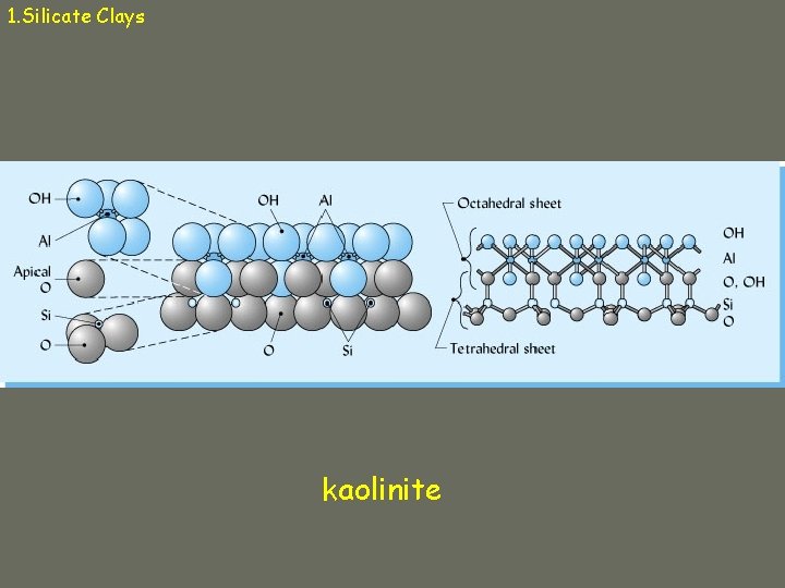 Clay Mineralogy Clay is a particle SIZE Predominant