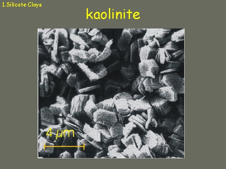 Clay Mineralogy Clay is a particle SIZE Predominant