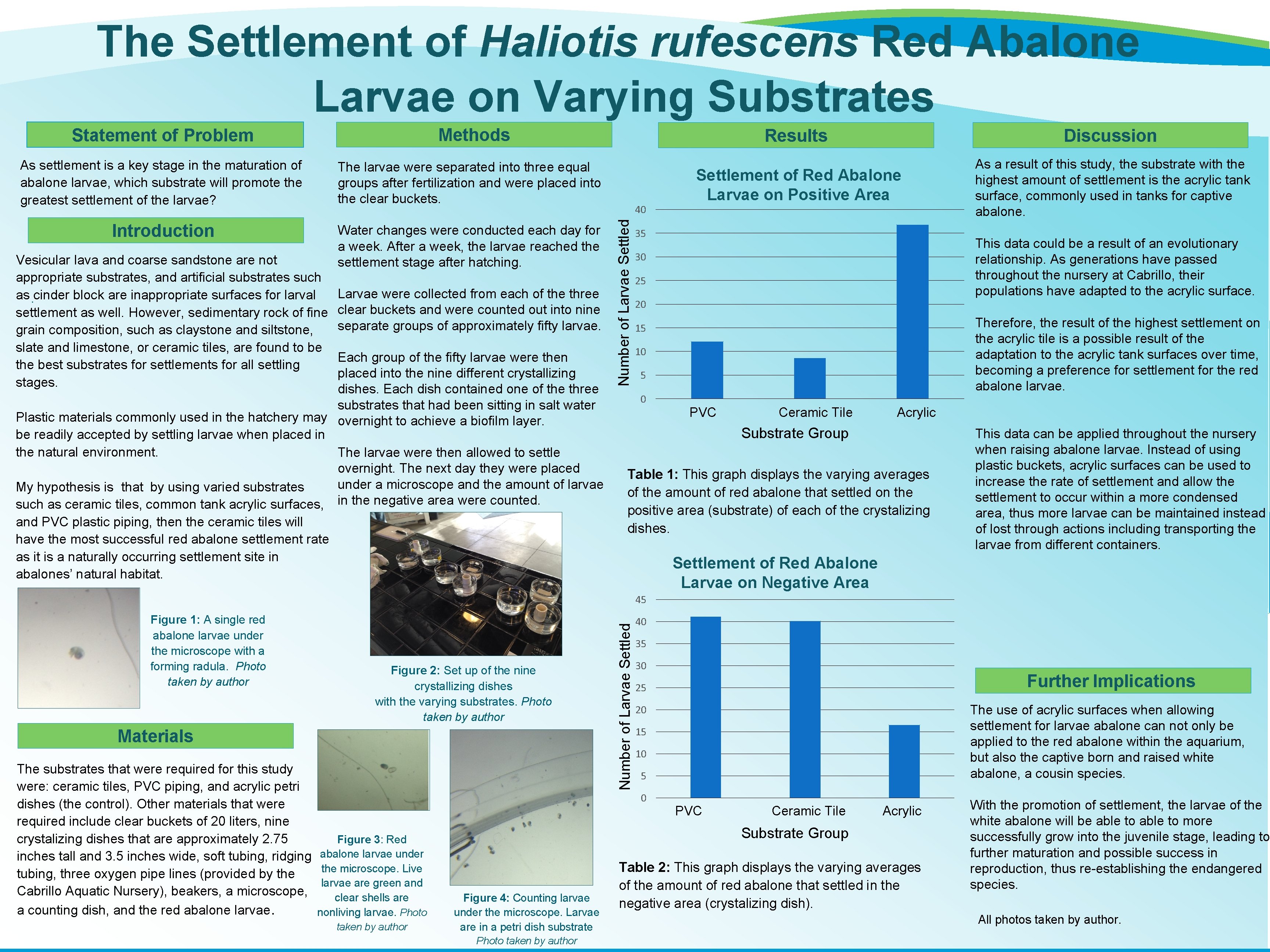 The Settlement of Haliotis rufescens Red Abalone Larvae