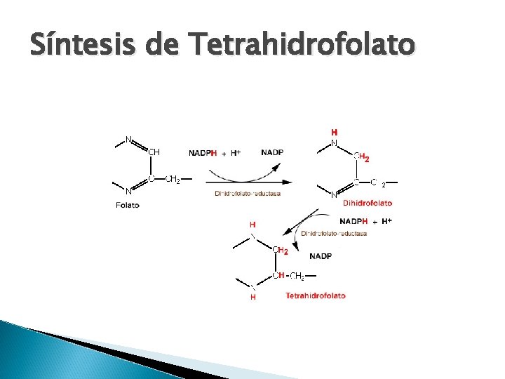 Universidad Autnoma del Estado de Mxico Facultad de