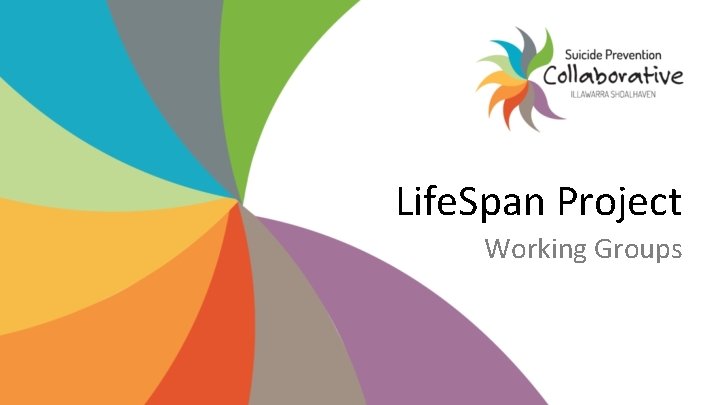 Life Span Project Working Groups Cascading Team Structure
