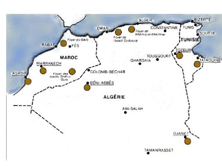 Les Bilharzioses ou Sch ses ou Schistosomoses Elabor