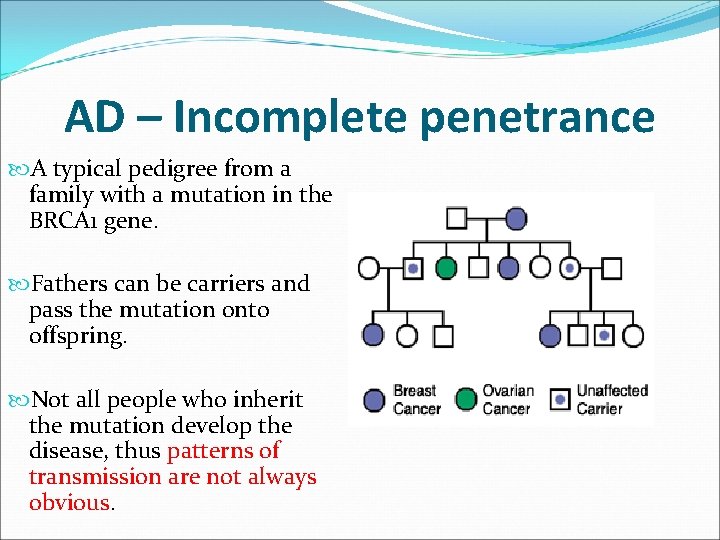LP 7 Inheritance Heredity and Genetic Diseases Inheritance