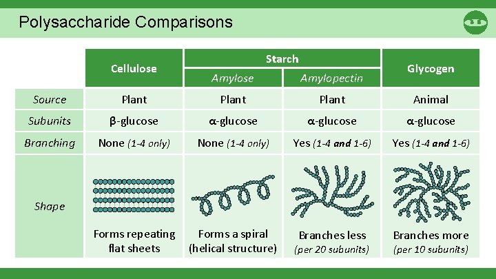 Topic 2 3 CARBOHYDRATES LIPIDS Topic Outline AUDIO