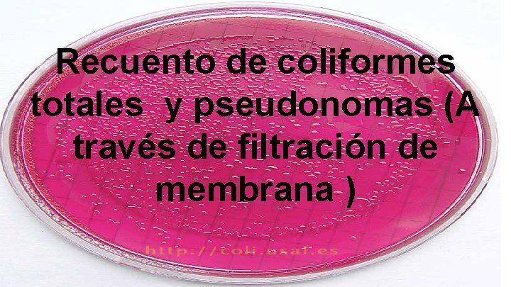 Recuento de coliformes totales y pseudonomas A travs