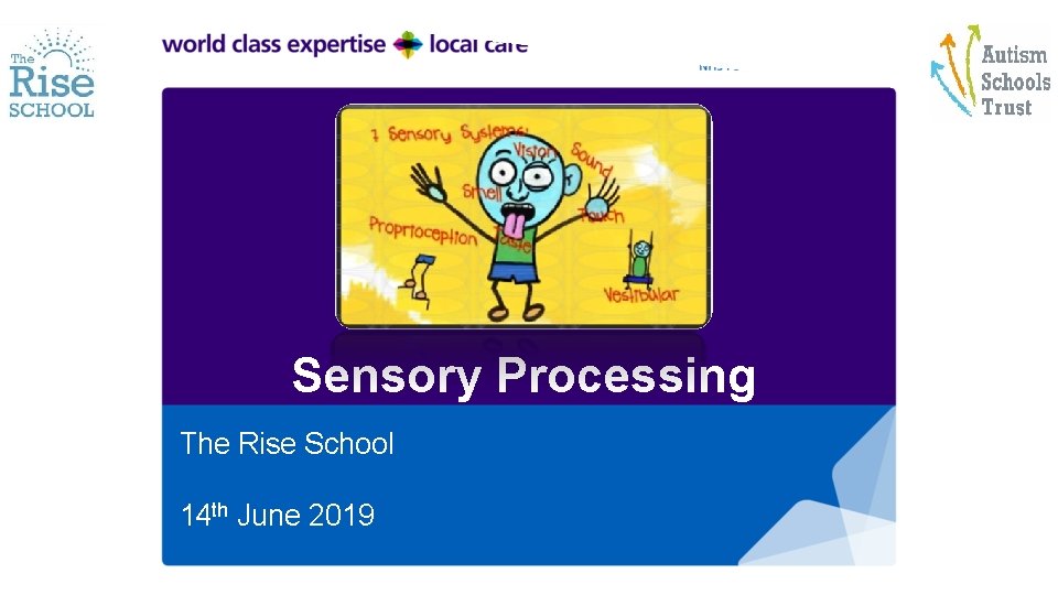 Sensory Processing The Rise School 14 th June