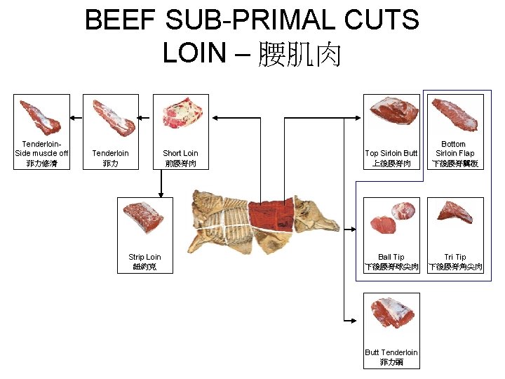 World Beef Trade Flows 2006 World Beef Trade