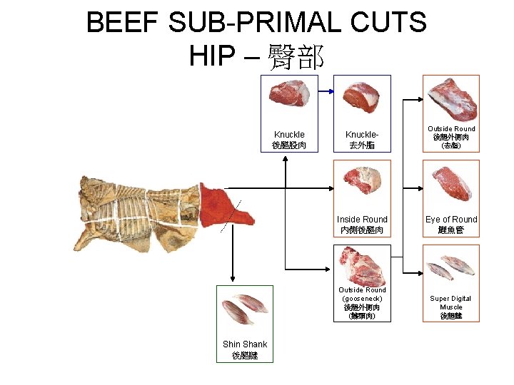 World Beef Trade Flows 2006 World Beef Trade