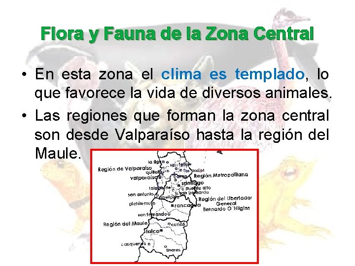 FLORA Y FAUNA DE MI PAS UNIDAD 9