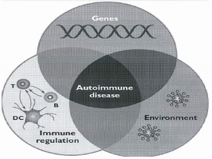 PATHOPHYSIOLOGY OF SELECTED AUTOIMMUNE DISEASES Lecture from pathological