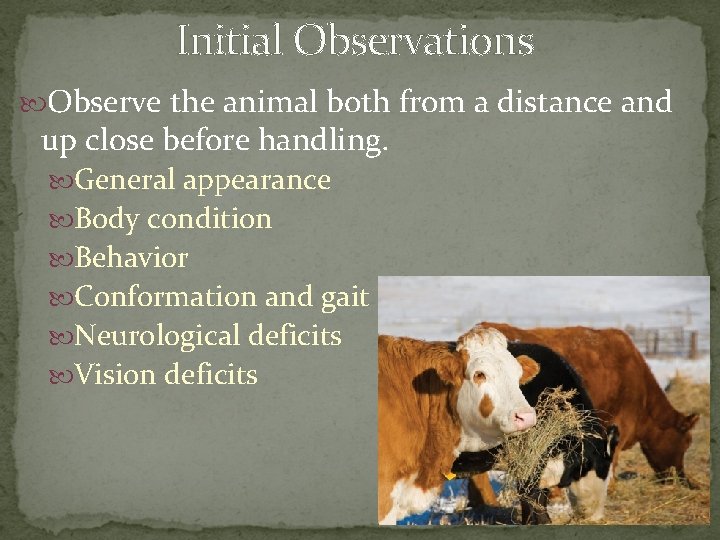 Physical Examination Objectives After this lesson students should