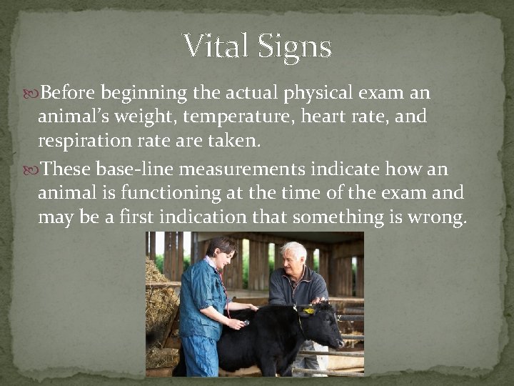 Physical Examination Objectives After this lesson students should