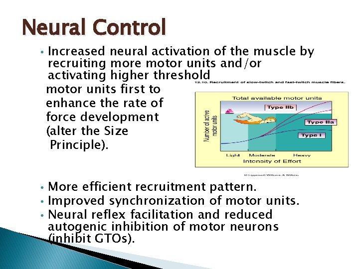 Adaptations to Resistance Training Physiological Aspects of Human