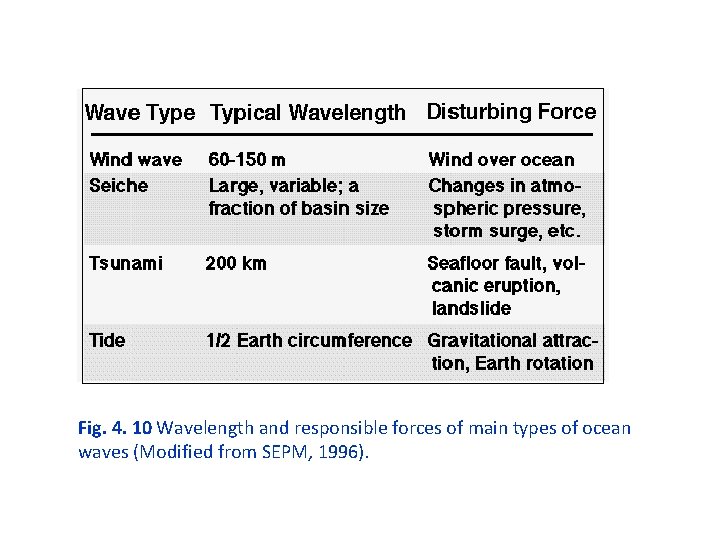 DEPARTMENT OF MARINE SCIENCES SCHOOL OF ENVIRONMENT COASTAL