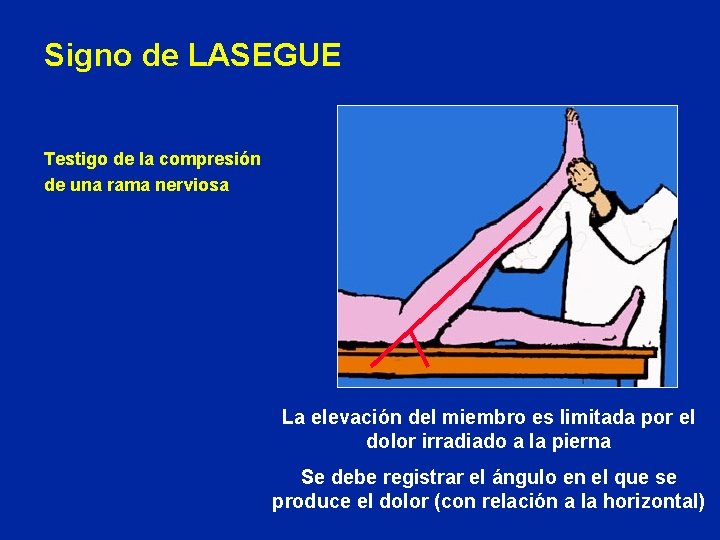 COLUMNA VERTEBRAL Hernias Discales Hernias Discales El anillo