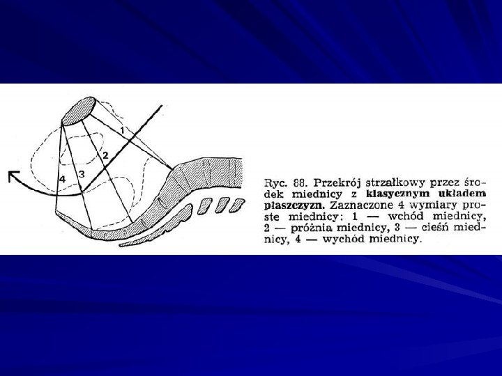 PORD FIZJOLOGICZNY ANATOMIA POONICZA MIEDNICA KOBIECA Ko krzyowa