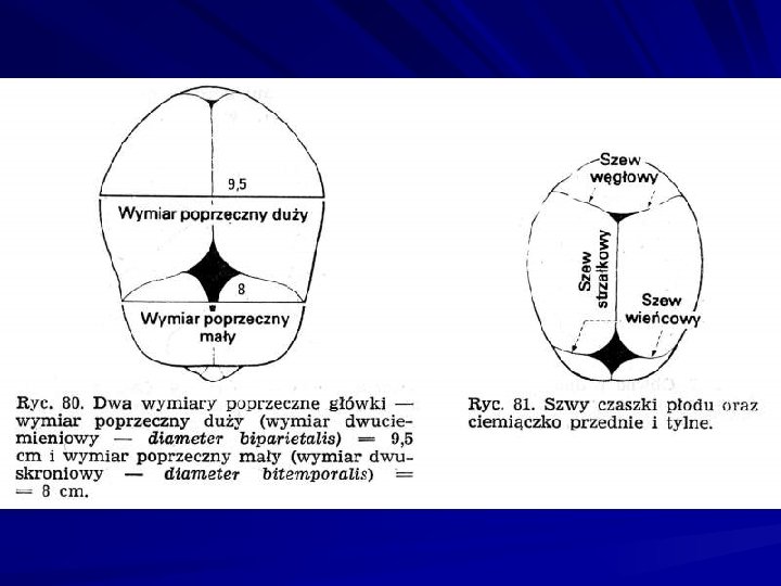 PORD FIZJOLOGICZNY ANATOMIA POONICZA MIEDNICA KOBIECA Ko krzyowa