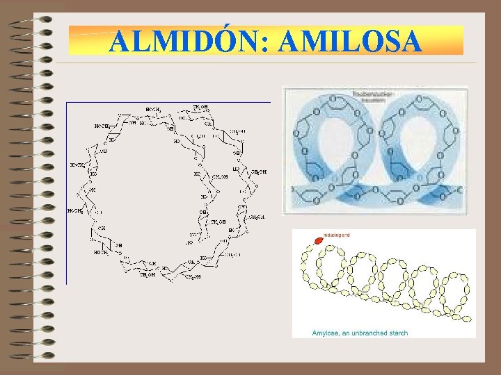 BIOMOLCULAS Introduccin a la qumica orgnica o la