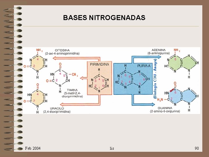 BIOMOLCULAS Introduccin a la qumica orgnica o la