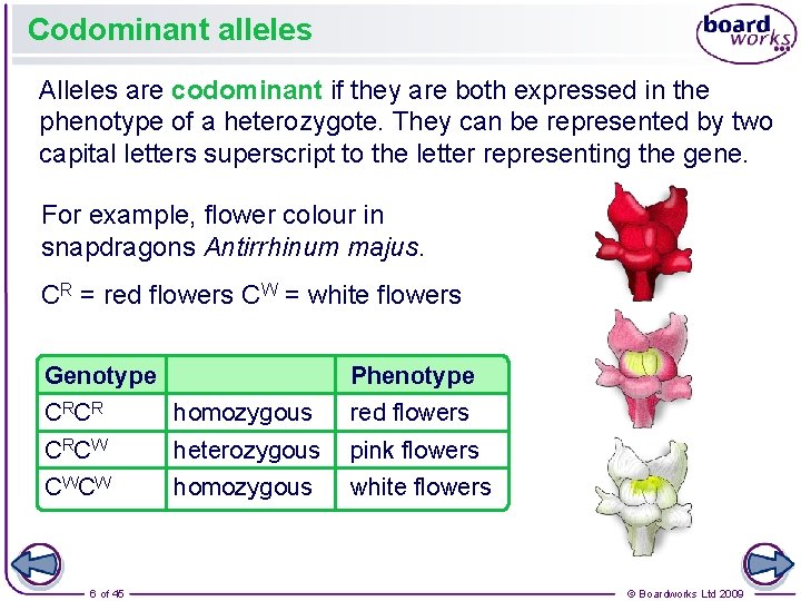 1 of 45 Boardworks Ltd 2009 2 of