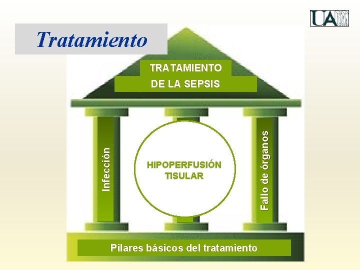 SEPSIS Fisiopatologa Mediadores Diagnstico y Tratamiento Dra Beatriz