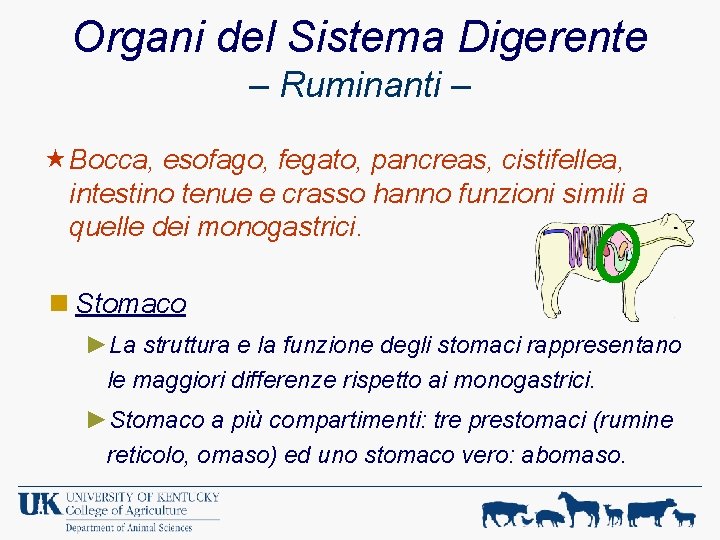 Fisiologia digestiva degli animali in allevamento Dr Richard