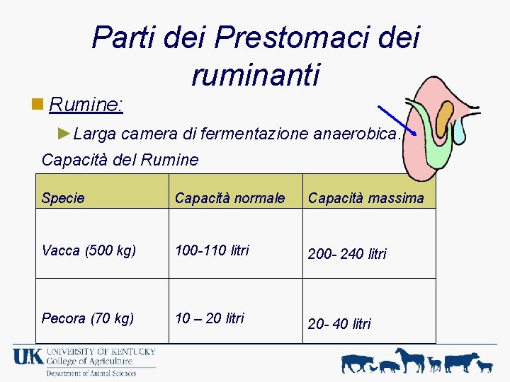 Fisiologia digestiva degli animali in allevamento Dr Richard