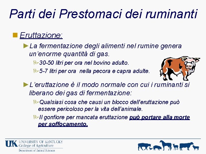 Fisiologia digestiva degli animali in allevamento Dr Richard