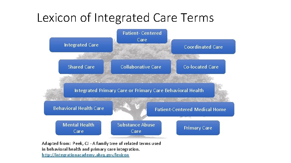 Integrated Behavioral Health Cross Model Framework MAY 27