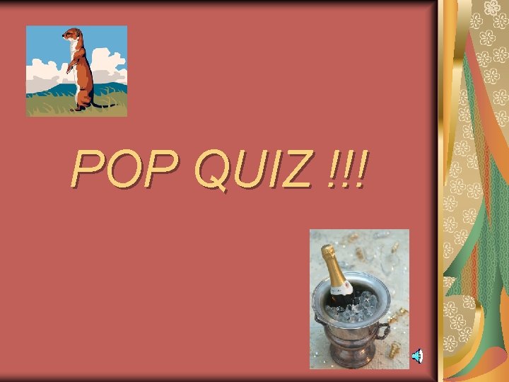 POP QUIZ Multiple Choice Questions Whats the Speed