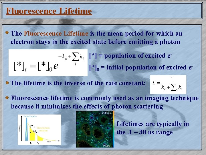 Lecture 4 Fluorescence UVVisible and CD are Absorption