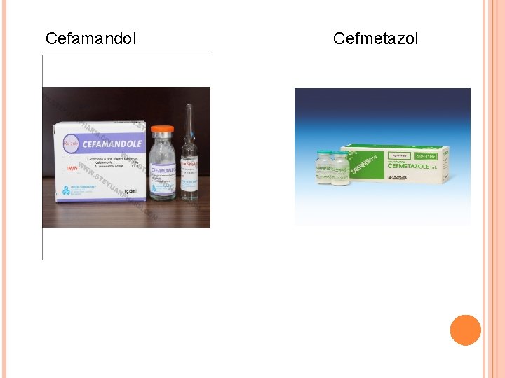 SEFALOSPORIN 1 PENGERTIAN Sefalosporin termasuk golongan antibiotika ...