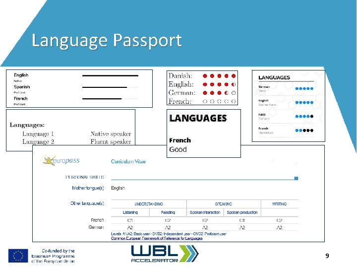 WBL ACCELERATOR TRAINING PROGRAMME Unit 5 1 Europass