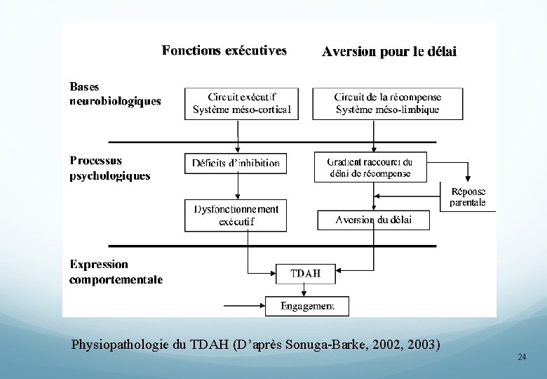 Cerveau attention et TDAH Quelques concepts et donnes