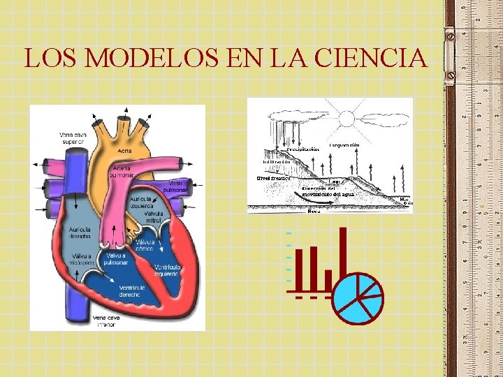 LOS MODELOS EN LA CIENCIA Qu es un