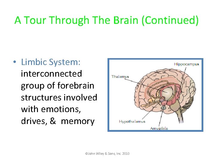 Lecture Overview Neural Bases of Behavior Nervous System