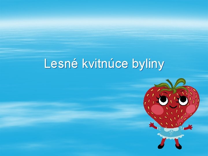 Lesn kvitnce byliny Popis byliny Plod Kvet List