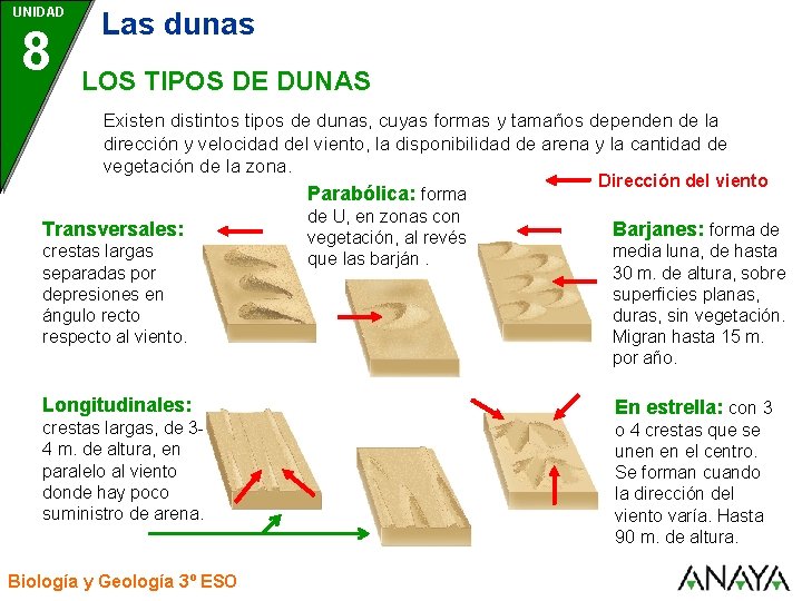 UNIDAD 8 El modelado del relieve LAS DUNAS