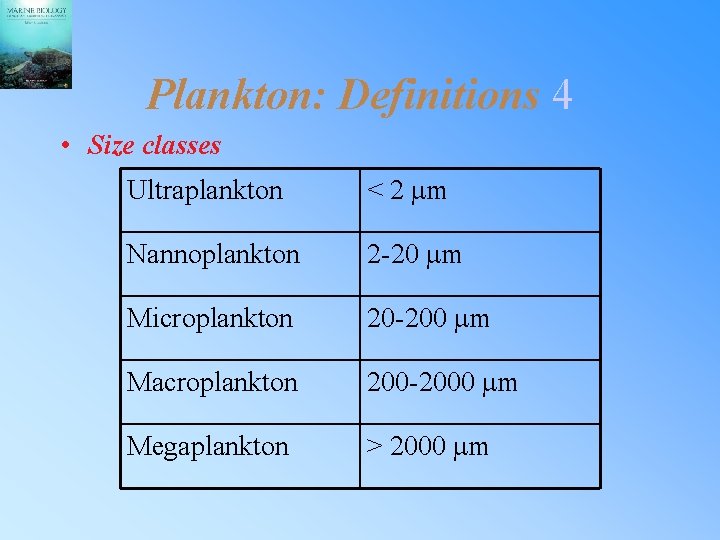The Open Ocean Environment Plankton Productivity and Food