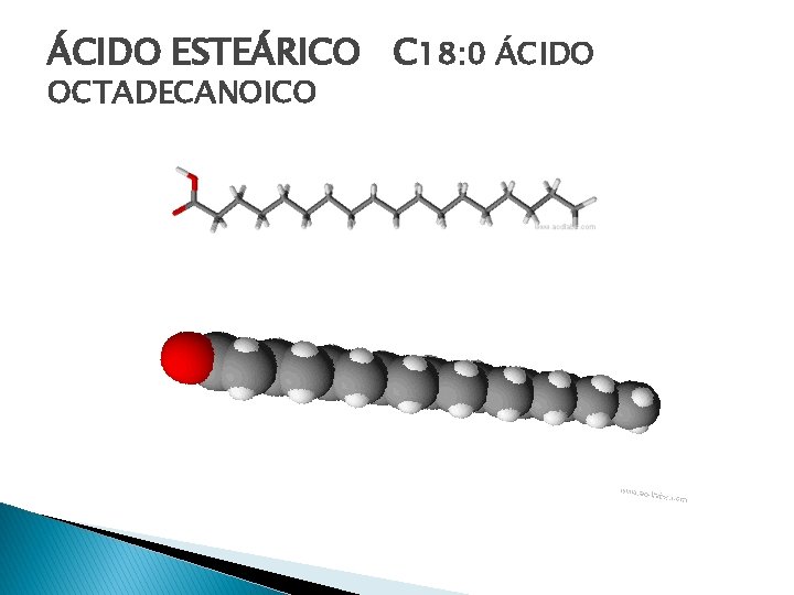 TRIGLICRIDOS Estructura Molecular y Propiedades Fsicas Corregido el