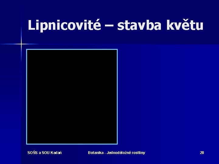 BOTANIKA Tda Jednodlon Vvojov mlad skupina krytosemennch rostlin
