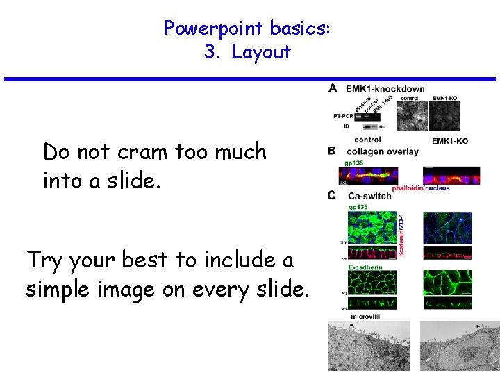 Preparing and Giving an Effective Scientific Presentation using